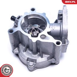 ESEN SKV Unterdruckpumpe, Bremsanlage 18skv060 f&uuml;r VW
