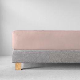 Bettlaken Estella "Feinjersey", rosa, L:200cm, Jersey, Obermaterial: 100% Baumwolle, Bettlaken, Bettlaken, Rundumgummi