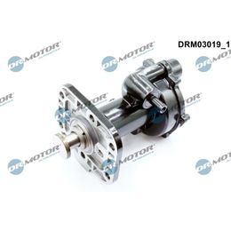 DR.MOTOR AUTOMOTIVE Unterdruckpumpe, Bremsanlage drm03019 f&uuml;r LAND ROVER