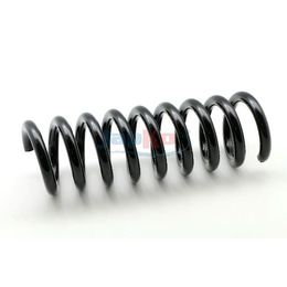 JAPKO Fahrwerksfeder zcj7012a Hinterachse