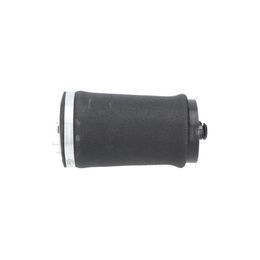 KAVO PARTS Luftfeder, Fahrwerk sas10034 Hinterachse rechts f&uuml;r BMW