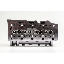AMC Zylinderkopf 908789 f&uuml;r RENAULT