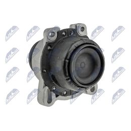 NTY Lagerung, Motor zpsfr013 hinten f&uuml;r Ford