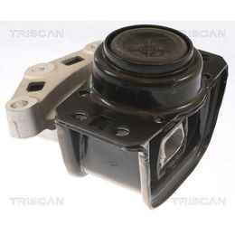 TRISCAN Lagerung, Motor 850528108 f&uuml;r Peugeot
