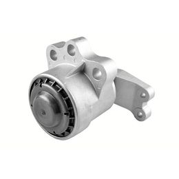 TEDGUM Lagerung, Motor ted99323 vorne f&uuml;r Ford