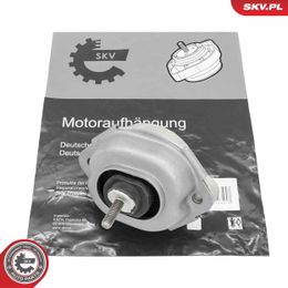 ESEN SKV Lagerung, Motor 75skv060 beidseitig f&uuml;r BMW
