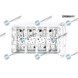 DR.MOTOR AUTOMOTIVE Zylinderkopf drm6411 f&uuml;r Ford Peugeot