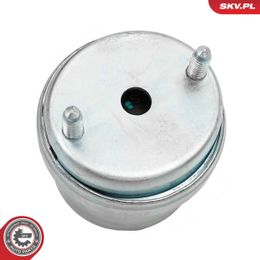 ESEN SKV Lagerung, Motor 75skv209 rechts f&uuml;r VW