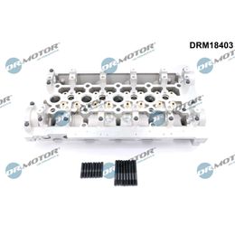 DR.MOTOR AUTOMOTIVE Zylinderkopf drm18403 f&uuml;r Vaughall NISSAN RENAULT