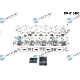 DR.MOTOR AUTOMOTIVE Zylinderkopf drm18405 f&uuml;r Vaughall RENAULT NISSAN