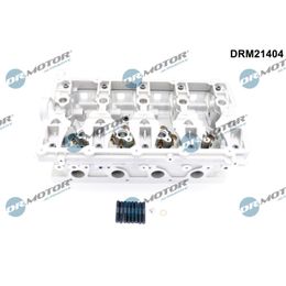 DR.MOTOR AUTOMOTIVE Zylinderkopf drm21404 f&uuml;r VW DODGE MITSUBISHI
