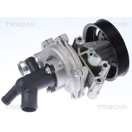 TRISCAN Wasserpumpe 860016071 f&uuml;r Ford
