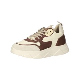 Sneaker Steve Madden "Steve Madden Sneaker Leder", Herren, Gr. 40, beige, braun, Leder, Schuhe Sneaker