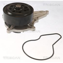 TRISCAN Wasserpumpe 860040021 f&uuml;r HONDA
