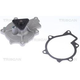 TRISCAN Wasserpumpe 860043024 f&uuml;r KIA