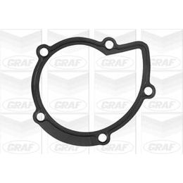 Graf Wasserpumpe pa861 f&uuml;r Ford Volvo Fiat Peugeot