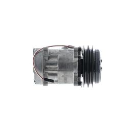 Mahle Kompressor, Klimaanlage acp1060000s