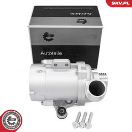 ESEN SKV Wasserpumpe 22skv071 f&uuml;r BMW