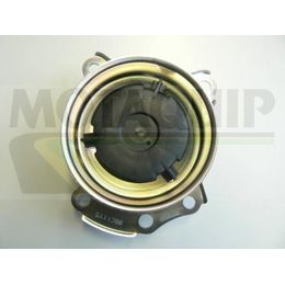 MOTAQUIP Wasserpumpe vwp851 f&uuml;r TOYOTA DAIHATSU Subaru Peugeot Citro&euml;n