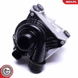 ESEN SKV Wasserpumpe 22skv047 f&uuml;r BMW