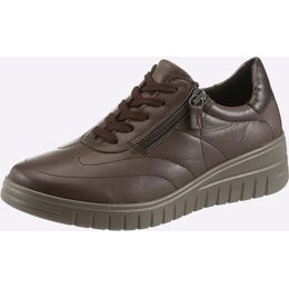Schn&uuml;rschuh Casual Looks, Damen, Gr. 36, dunkeltaupe, Glattleder, Lederimitat, Basic, Schuhe Schn&uuml;rschuh