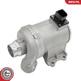 ESEN SKV Wasserpumpe 22skv093 f&uuml;r POLESTAR