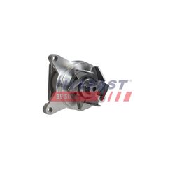 Fast Wasserpumpe ft11962 f&uuml;r Fiat Volvo Ford DAF MAZDA NISSAN LAND ROVER