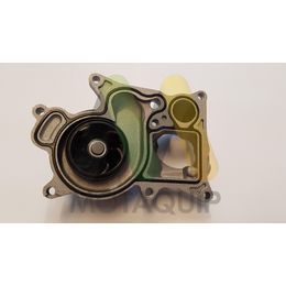 MOTAQUIP Wasserpumpe lvwp1056 f&uuml;r BMW