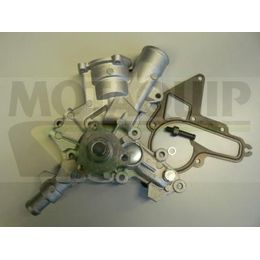 MOTAQUIP Wasserpumpe vwp856 f&uuml;r GM Opel Vaughall Suzuki