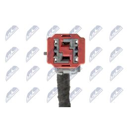 NTY Gasfeder, Koffer-/Laderaum aefr073 f&uuml;r Ford