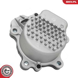 ESEN SKV Wasserpumpe 22skv092 f&uuml;r TOYOTA