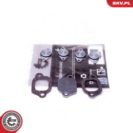 ESEN SKV Reparatursatz, Saugrohrmodul 49SKV529 f&uuml;r Opel