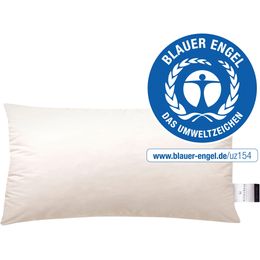 Federkopfkissen Billerbeck "E14 Greta, Kopfkissen 40x80, 70x80, 80x80 cm", beige (champagner), B:40cm L:80cm, Bezug: 100% Baumwolle. F&uuml;llung: 85% Entenfeder, 15% Entendaune, Kopfkissen, Die Daunendecke mit dem blauen Engel