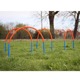 Procyon Hoopers Set