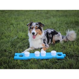 Procyon Schn&uuml;ffeltrainer klein