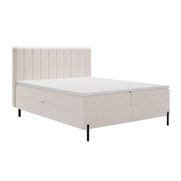 BOXBETT Primavera 180x200 Creme