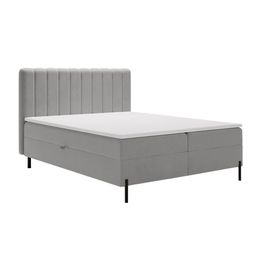 BOXBETT Primavera 160x200 Hellgrau