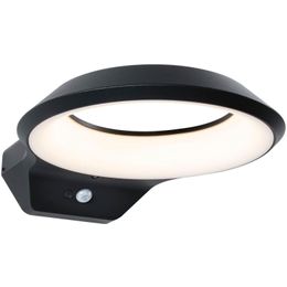 LED Au&szlig;en-Wandleuchte Paulmann "Anela 230V anthrazit IP44", grau (anthrazit), B:24,5cm H:7,1cm T:30,9cm, Leuchten