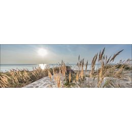 Pro Art Aludibondbild LOOK THE HORIZON