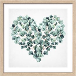 Pro Art Gerahmtes-Bild EUCALYPTUS