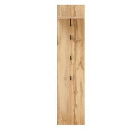 Pharao24.de Garderobenpaneel Wandgarderobe in Altholz Optik 3 Kleiderhaken