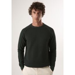 Pullover Basic-Pullover Mit Rundhalsausschnitt