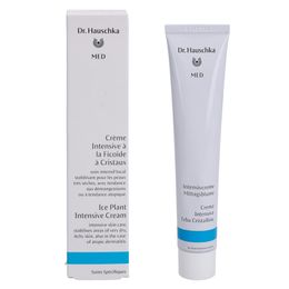 Dr. Hauschka Med Intensive Ice Plant Cream.
