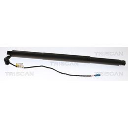TRISCAN Gasfeder, Koffer-/Laderaum 871011312 f&uuml;r BMW