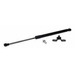 ACKOJA Gasfeder, Koffer-/Laderaum a260462 f&uuml;r HONDA