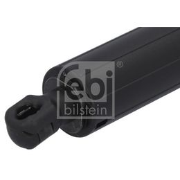 febi bilstein Gasfeder, Koffer-/Laderaum 1003591 beidseitig f&uuml;r Porsche