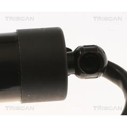 TRISCAN Gasfeder, Koffer-/Laderaum 871040301 f&uuml;r HONDA