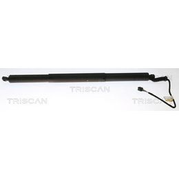 TRISCAN Gasfeder, Koffer-/Laderaum 871011360 f&uuml;r BMW