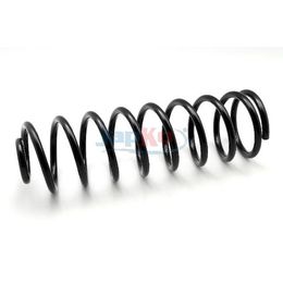 JAPKO Fahrwerksfeder zcj5143g Hinterachse