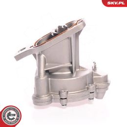 ESEN SKV Unterdruckpumpe, Bremsanlage 18skv006 f&uuml;r Volvo VW VAG